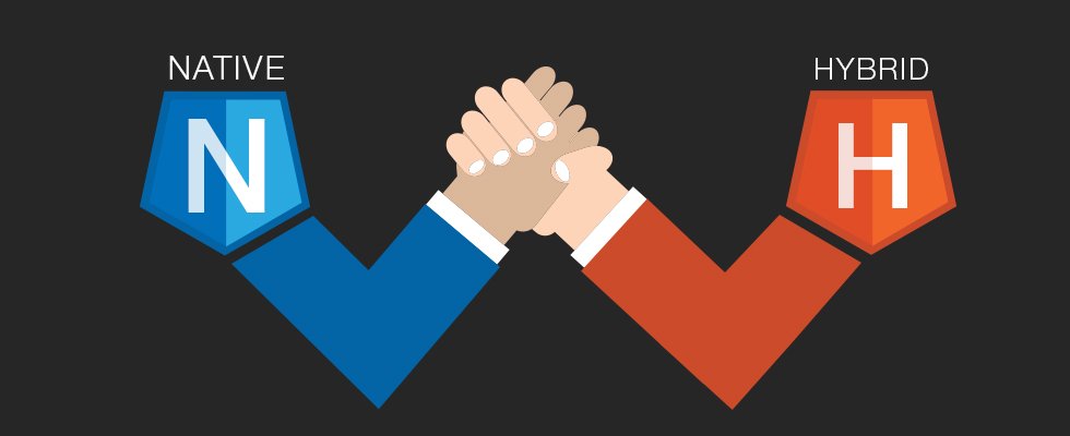 Native vs Hybrid Apps - Which is Cheaper to Build? - Elegant Media Blog